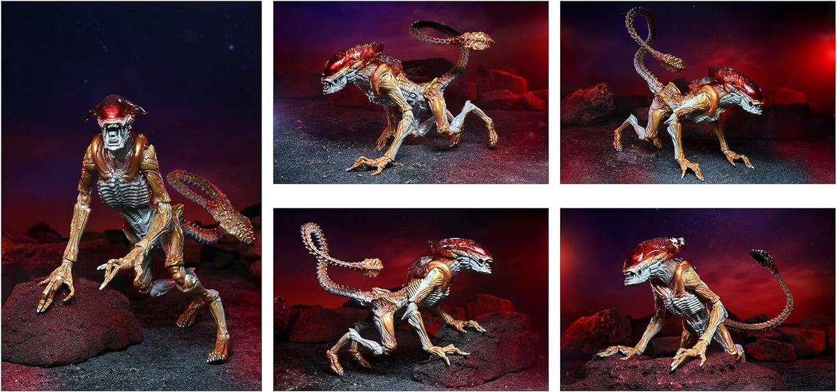 Aliens: Kenner Tribute Ultimate Panther Alien Action Figure| Brique ...